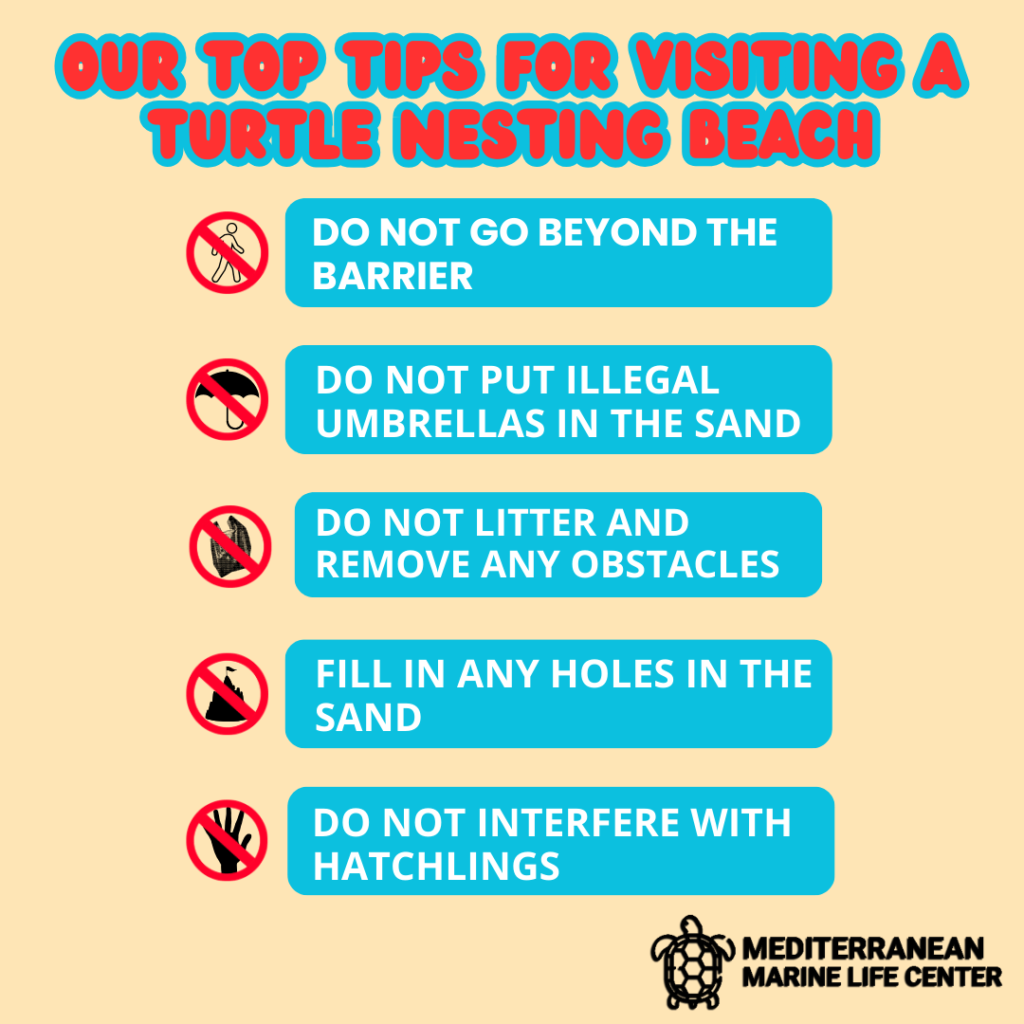 How to Reduce Your Impact | Zante Turtle Center