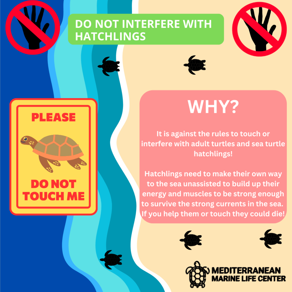 How to Reduce Your Impact | Zante Turtle Center
