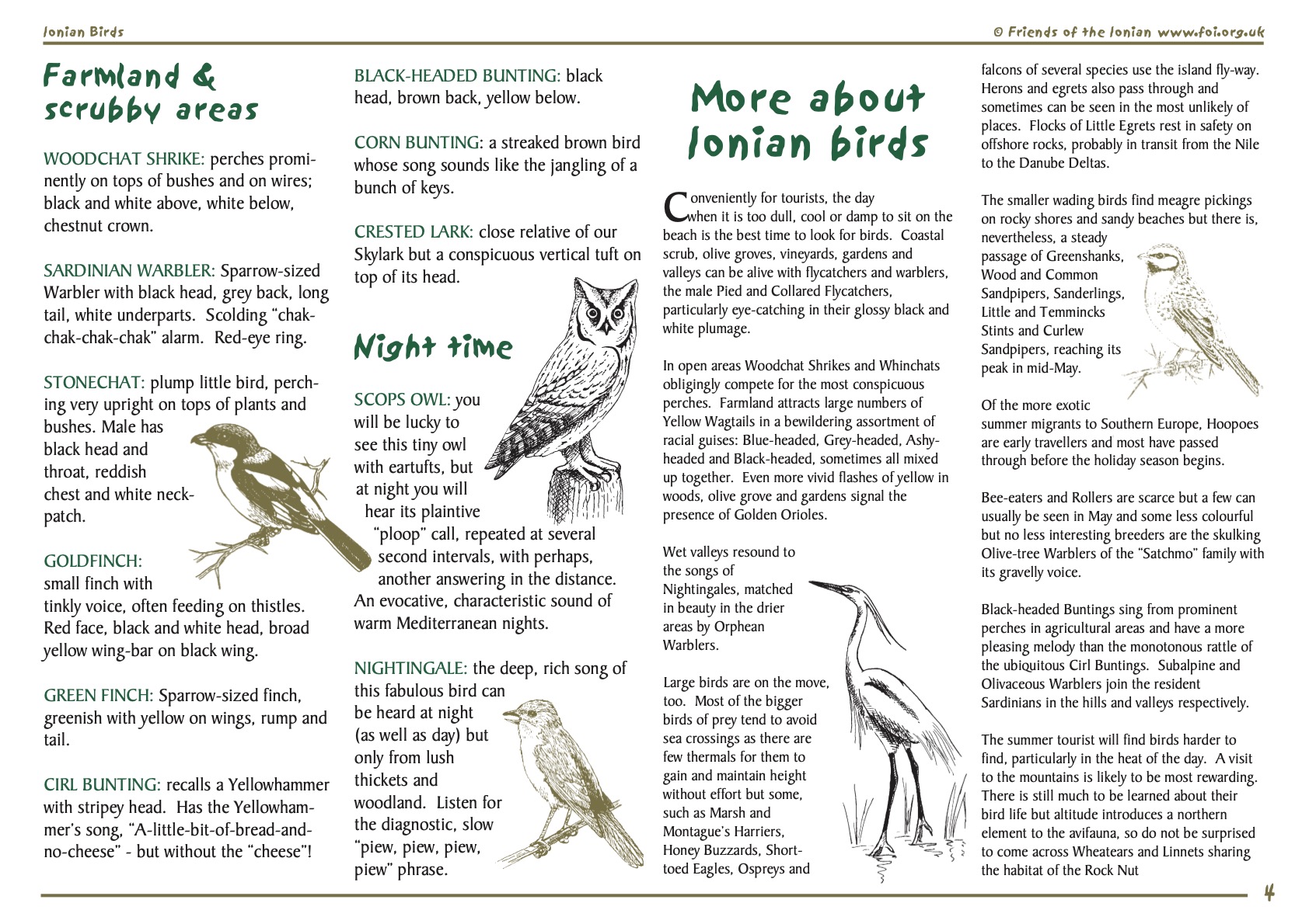 Ionian Birds | Zante Turtle Center