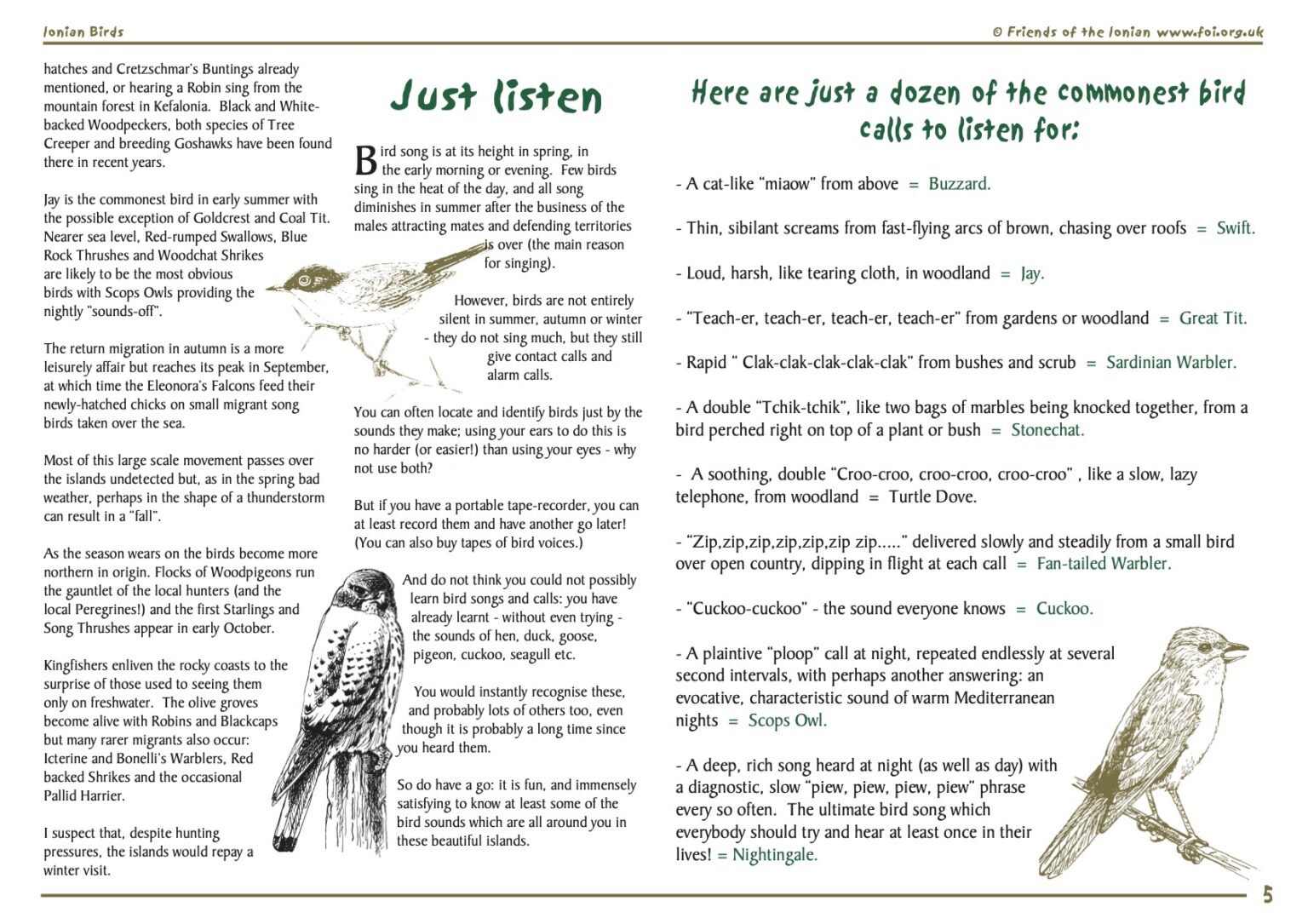 Ionian Birds | Zante Turtle Center