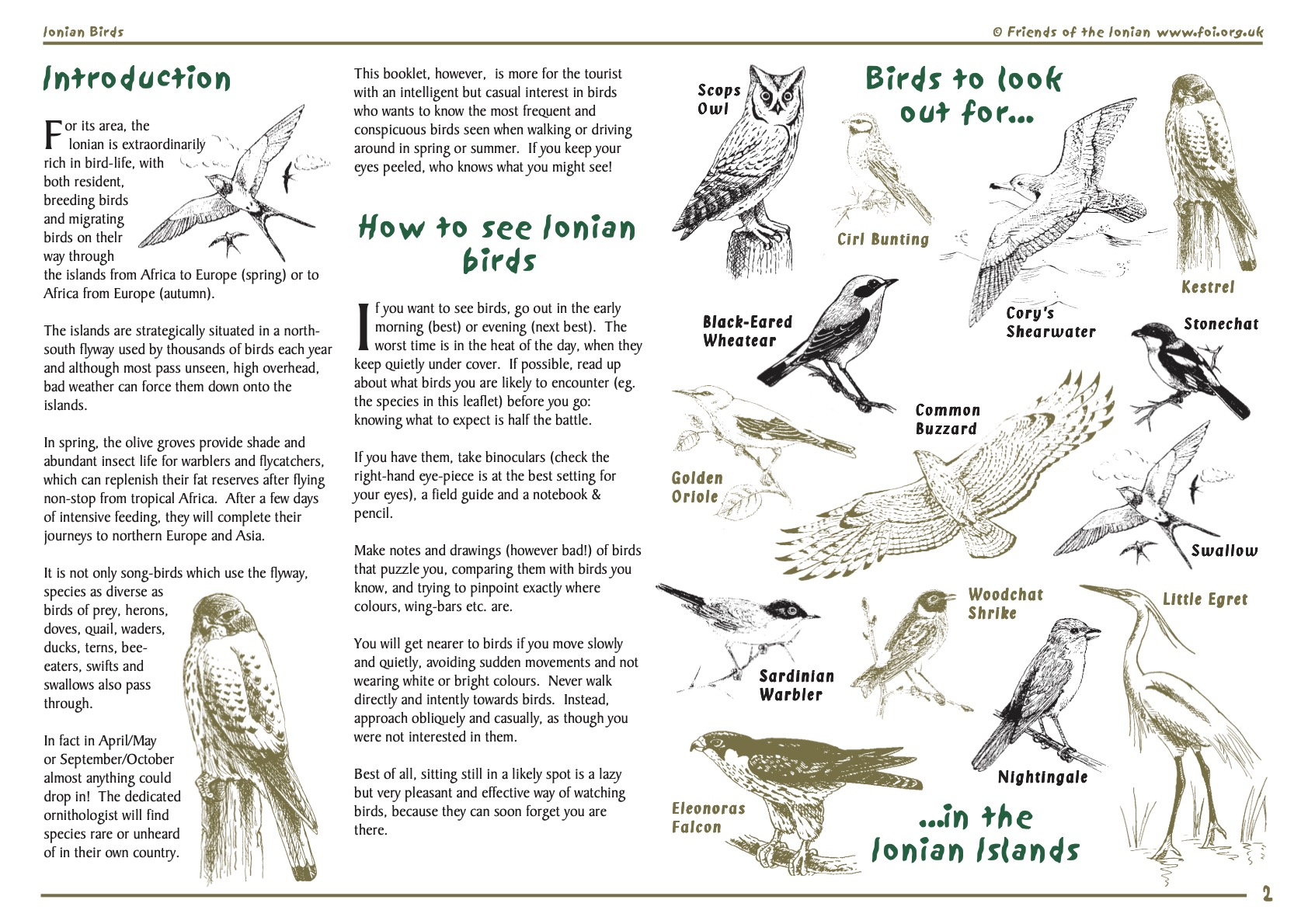 Ionian Birds | Zante Turtle Center