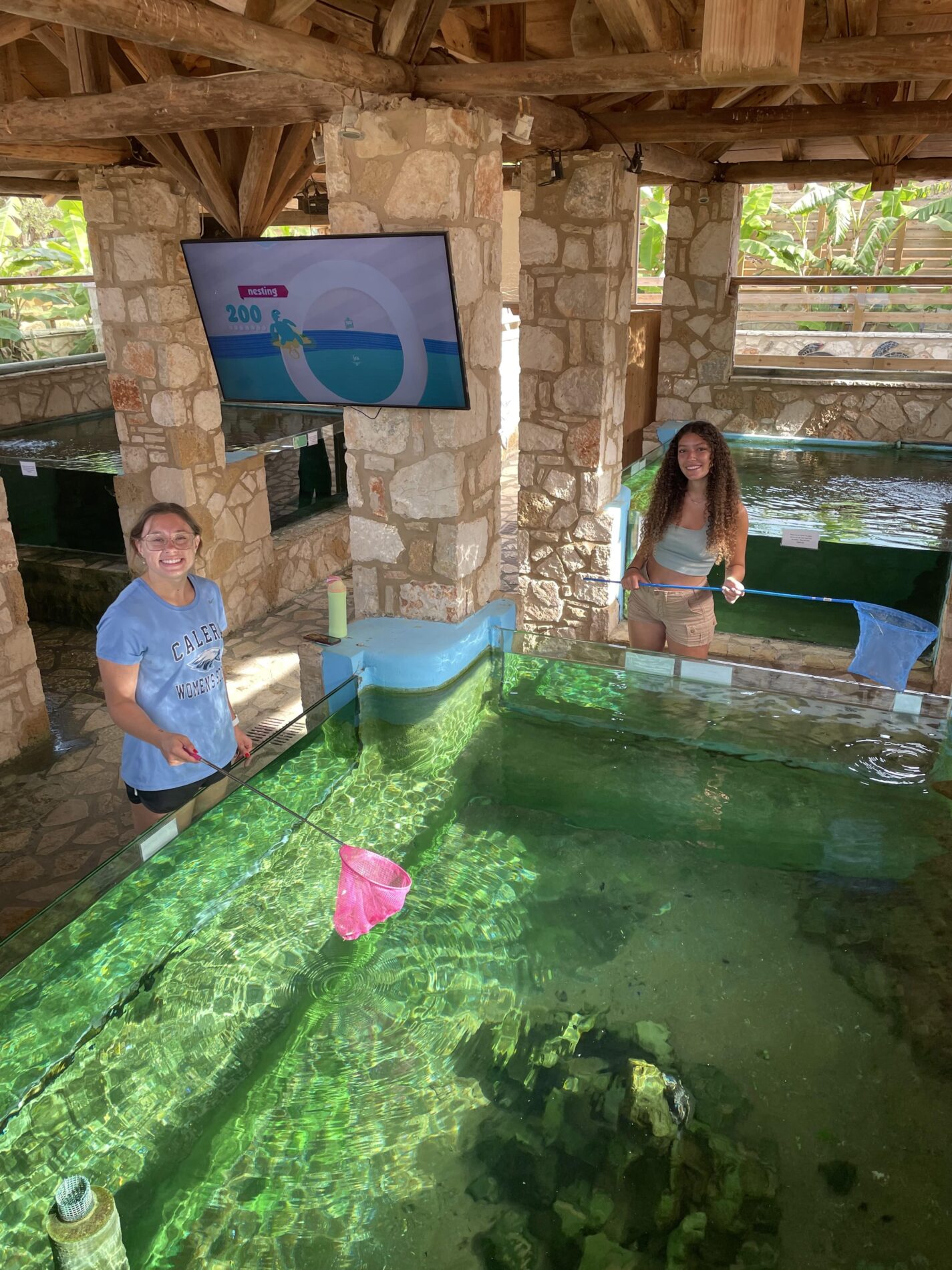 Donate | Zante Turtle Center