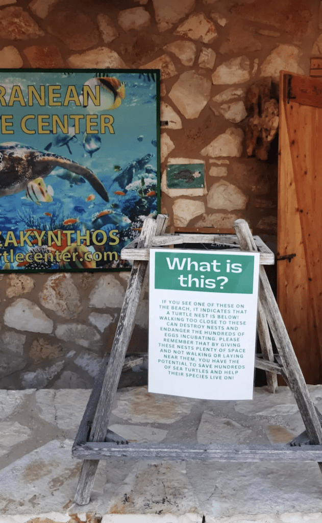 Our Projects | Zante Turtle Center