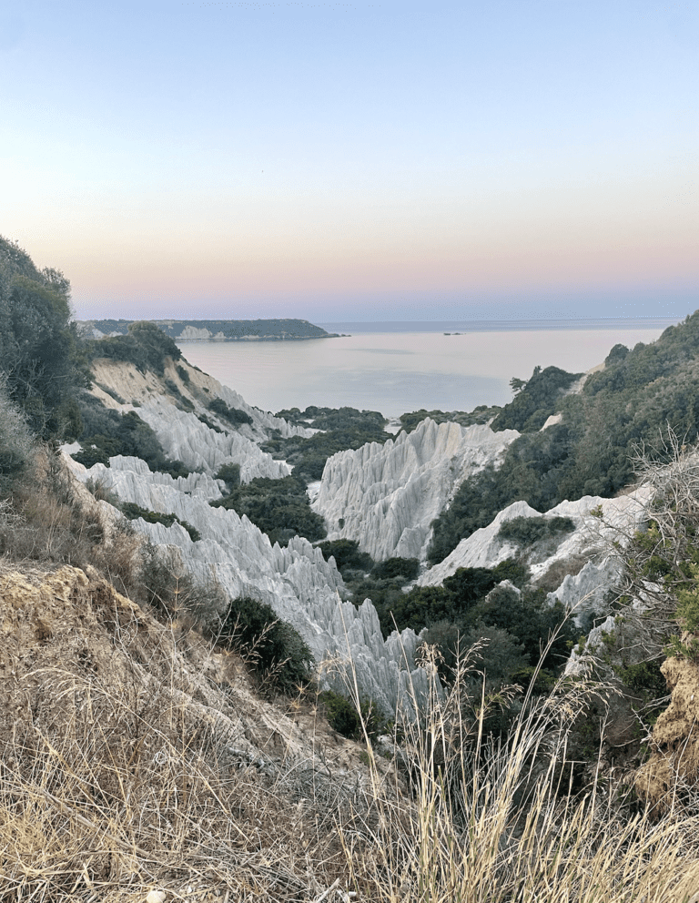 Gerakas Beach | Zante Turtle Center