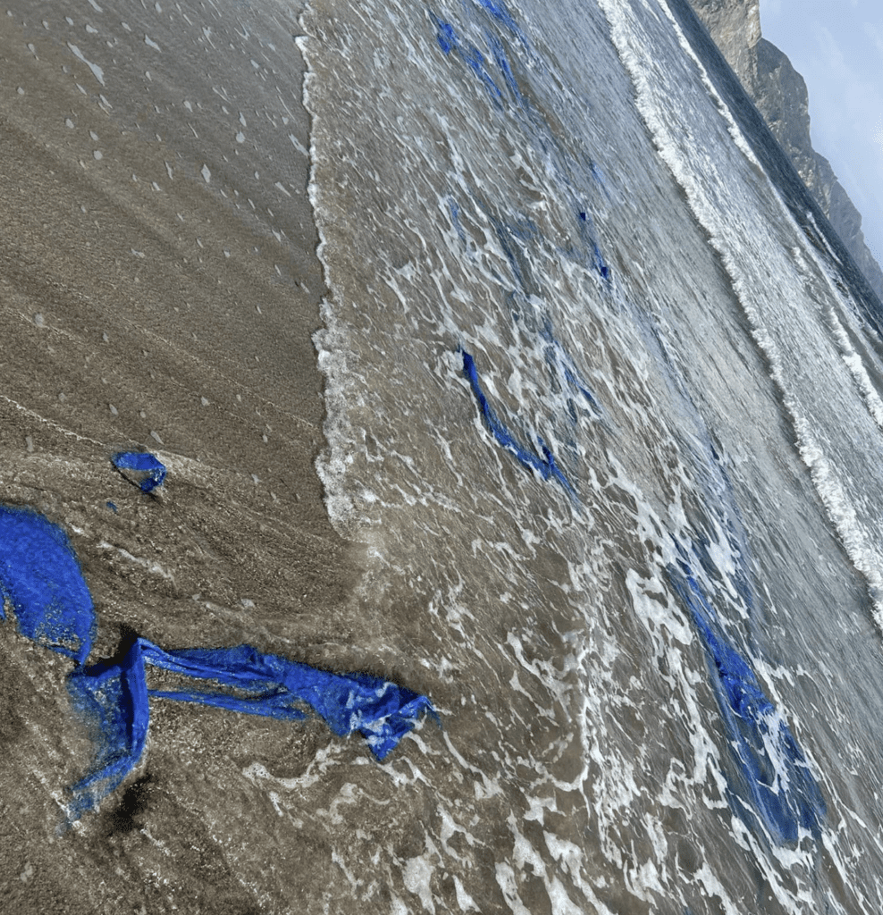 Threats to Sea Turtles | Zante Turtle Center