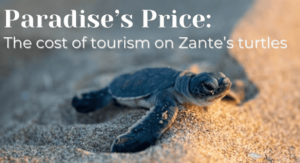 Home | Zante Turtle Center